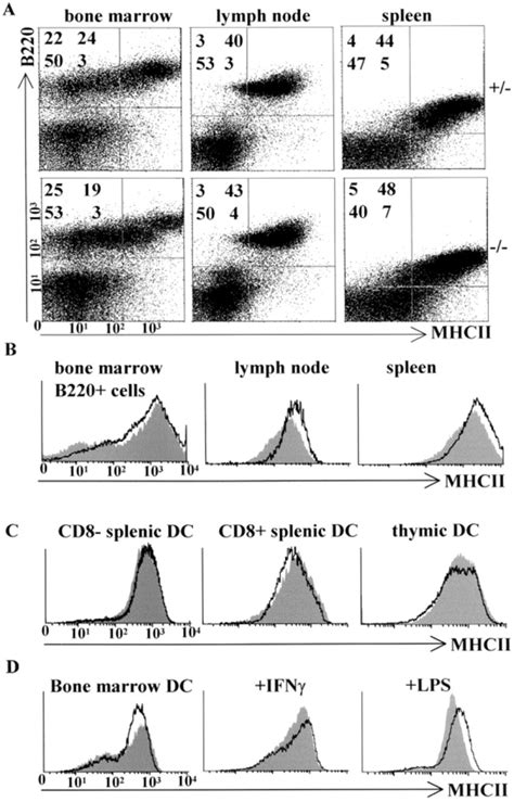 Deletion Of Mhc2ta Piv Does Not Affect Constitutive Mhcii Expression In