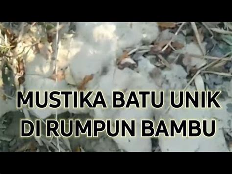 DI TEMUKAN MUSTIKA BATU BAMBU HUTAN. - YouTube