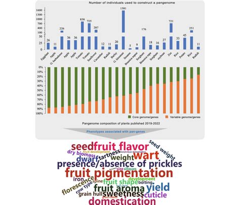 Plant Pangenome Summaries That Have Appeared In The Previous Four