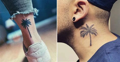Palm Tree Tattoo Design SORTRA Palm Tree Tattoo Design SORTRA
