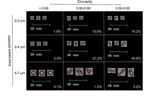 Using Flowcam For Elp Coacervate Analysis