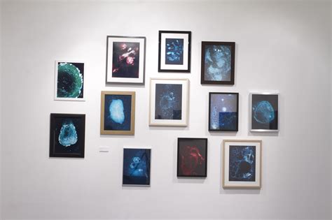 Aporia A Photographic Exhibition By Sarah Tehan April 2013 Siteation