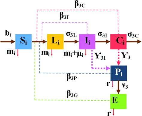 Compartmental Diagram Of The Susceptible Latent Infectious Supper