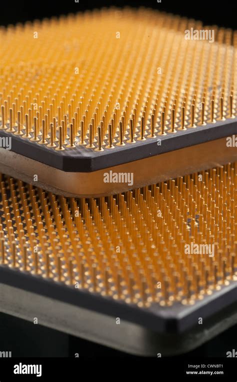 Underside View Of A Modern Cpu Computer Chip Or Central Processing Unit
