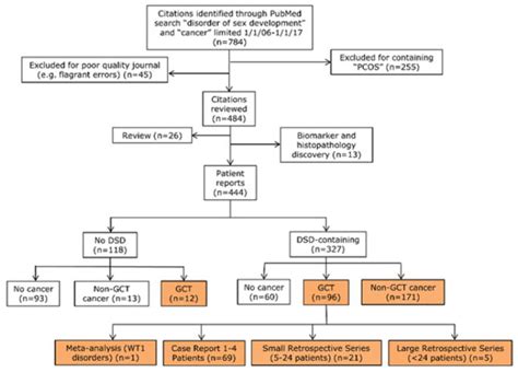 A Practical Guide For Evaluating Gonadal Germ Cell Tumor Predisposition