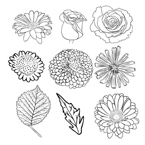 Premium Vector Flowers And Leaf Doodle Vector Setx9