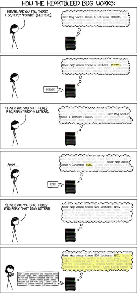 Infographic Xkcd