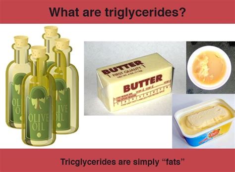 Triglycerides Google Search Triglycerides Hand Soap Bottle Soap Bottle