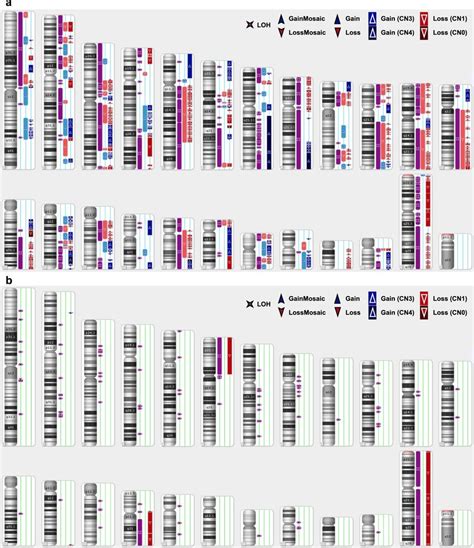 cytogenetic analysis with affymetrix cytoscan hd microarray cytogenetic