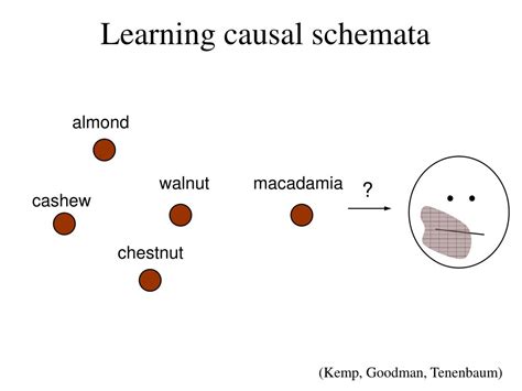 PPT Learning Causal Theories Josh Tenenbaum MIT Department Of Brain And Cognitive Sciences