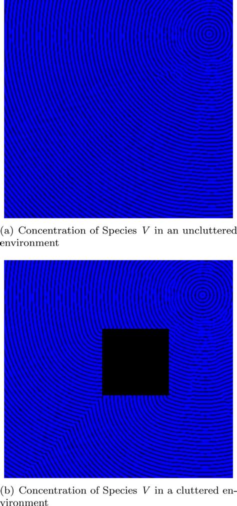Fig A16 Concentration Map Of Species V In A Turing System After