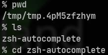 Autosuggestion Stops Functioning With Zsh After A Few Directory Changes Issue