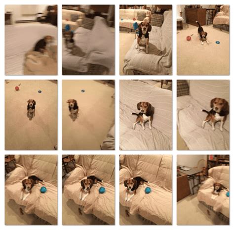 Blur Detection With Opencv Pyimagesearch