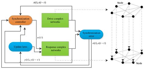 design of a robust synchronization based topology observer for complex