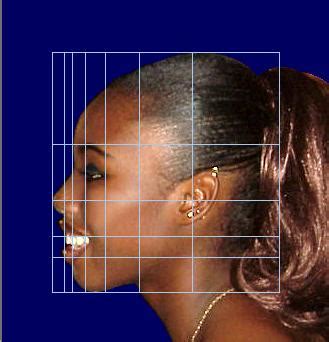 Phi In Humans And Nature Face It