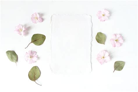 여성 웨딩 생일 데스크톱 모형입니다 빈 면 종이 인사말 카드 건조 유칼립투스 잎 및 분홍색 벚꽃 꽃 화이트 테이블 배경입니다