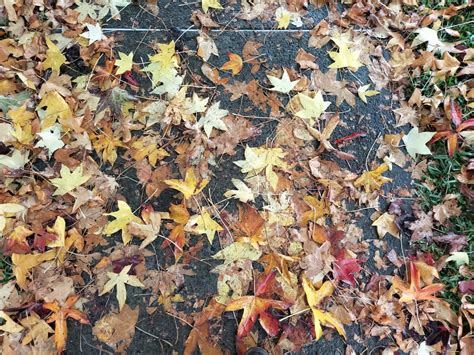 Oppo A G Review Cph Pickr