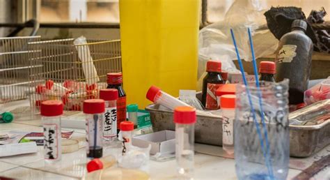 World Leaders Convene To Combat Superbug Crisis Mirage News