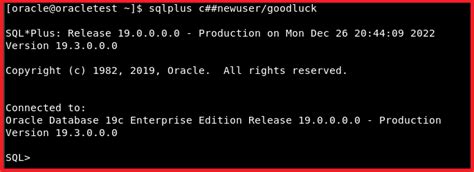 Creation Of Common Profile In Oracle Dot Net Tutorials