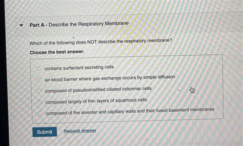 Solved Part A - ﻿Describe the Respiratory MembraneWhich of | Chegg.com