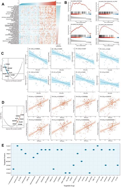 Machine Learning Algorithm Integrates Bulk And Single Cell Transcriptome Sequencing To Reveal
