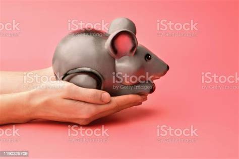남자의 손에 는 분홍색 배경에 회색 쥐 또는 마우스 모양의 돼지 저금통앉아 있다 남자의 손바닥 조각 2020년에 대한 스톡 사진 및 기타 이미지 Istock