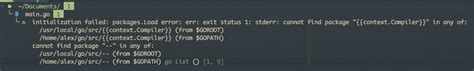 How To Fix This Warning Error In Gopls Rneovim