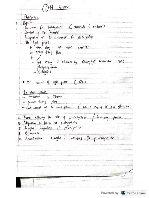 Revision Sub Headings Pdf