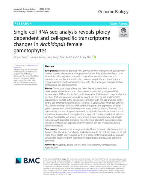 Single Cell Rna Seq Analysis Reveals Ploidy Dependent And Cell