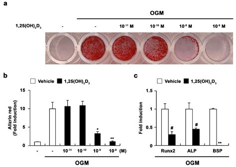 Downregulation Of Runx By Dihydroxyvitamin D Induces The Transdifferentiation Of