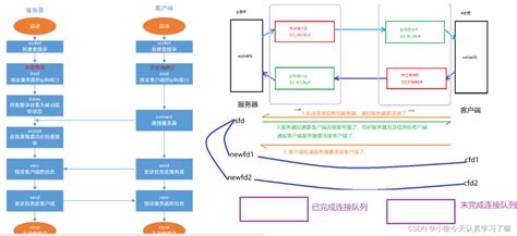网络编程（tcp和udp的基础模型） Csdn博客