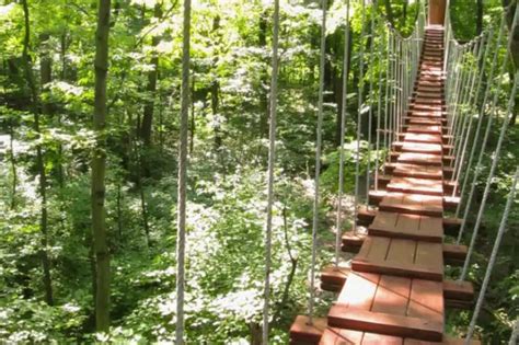 پل معلق نمک آبرود مازندران؛ راهنمای بازدید و تفریحات اطراف