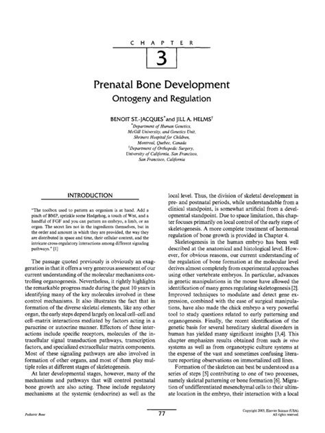 Chapter 3 Prenatal Bone Development Ontogeny And Regula2003pediatric Bo Pdf Bone
