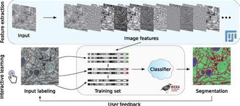 tws pipeline for pixel classification image features are extracted