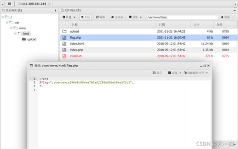 Xctf 攻防世界ctf平台 Web类——11、upload1（文件上传、前端校验） Csdn博客