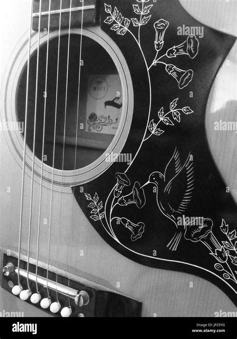 Stringed Bowed Instrument High Resolution Stock Photography And Images Alamy