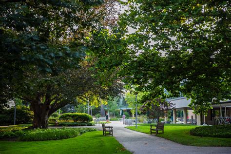 What Is Caltechs Waitlist Acceptance Rate Class Of 2029