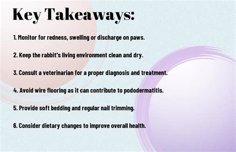 How To Spot And Treat Paw Pododermatitis In Flemish Giant Rabbits Flemish Giant Care