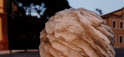 How To Use Poly To Generate High Quality Textures For Blender With Ai
