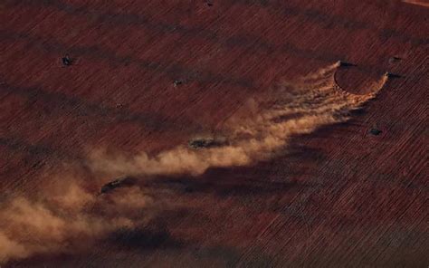 تصاویر جنگل آمازون، نمایش شکوه و سقوط طبیعت کجارو