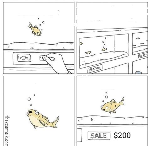 Fish Dont Talk Also Thats An Expensive Ass Fish I Was Too Lazy To
