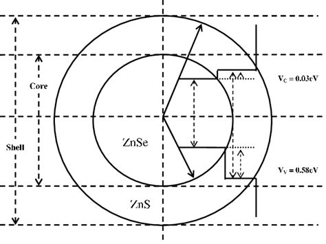 Schematic Of A Core Shell Quantum Dot And Dimensions As Assumed In The Download Scientific