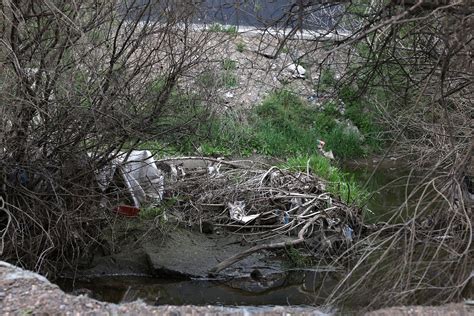 Үерийн эрсдэлтэй бүсэд голын голдирол өөрчлөн барьсан барилга