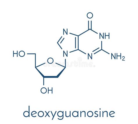 Deoxyguanosine Dg Nucleoside Molecule Dna Building Block Skeletal Formula Stock Illustration