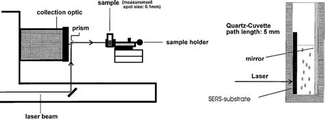 Experimental Setup For Sers Measurements Download Scientific Diagram
