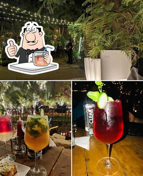Arbre Ahmedabad Restaurant Menu Prices And Reviews