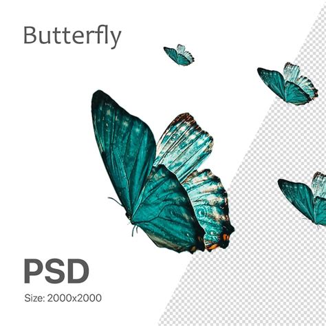 Premium Psd Psd Butterfly Design Element For Spring Design