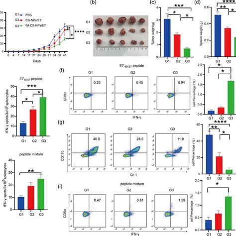 The Encapsulation Of Nps With Icd Cell Membrane Significantly Enhanced Download Scientific