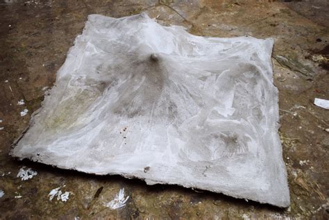 Hybridbiostructures Mesh Stretch Forming Experiment