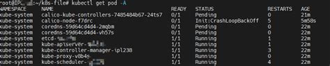 Calico3224 With K8s12114 Container Can Not Be Ready · Issue 6802